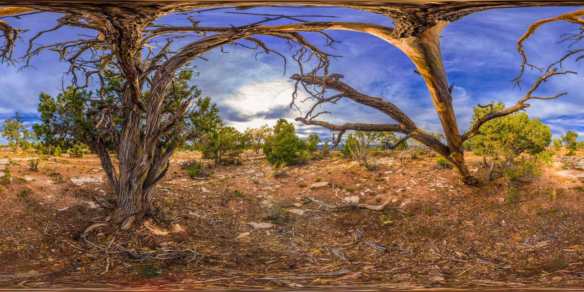 Bushman Panoramic